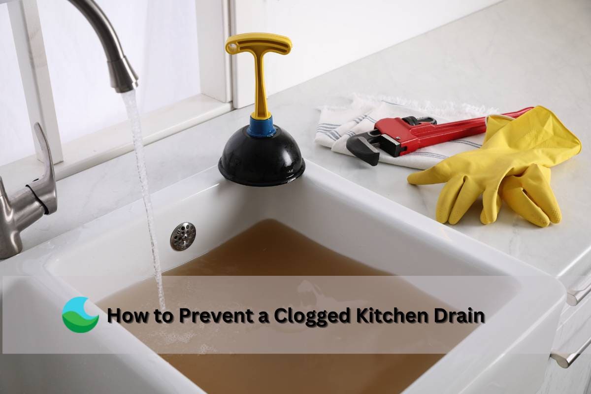 Things You Should Never Pour Down Your Sink to Avoid Clogs– Lucent Globe
