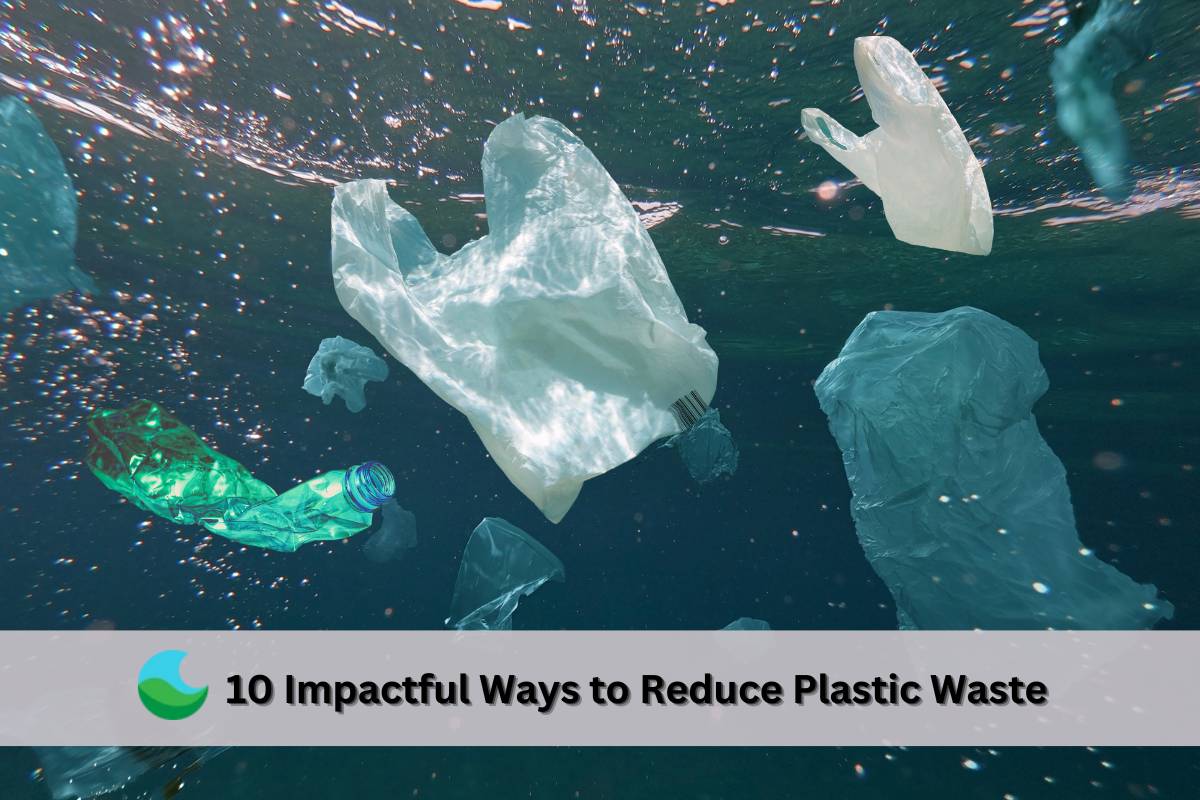 10 Effective Solutions to Reduce Plastic Waste and Pollution– Lucent Globe