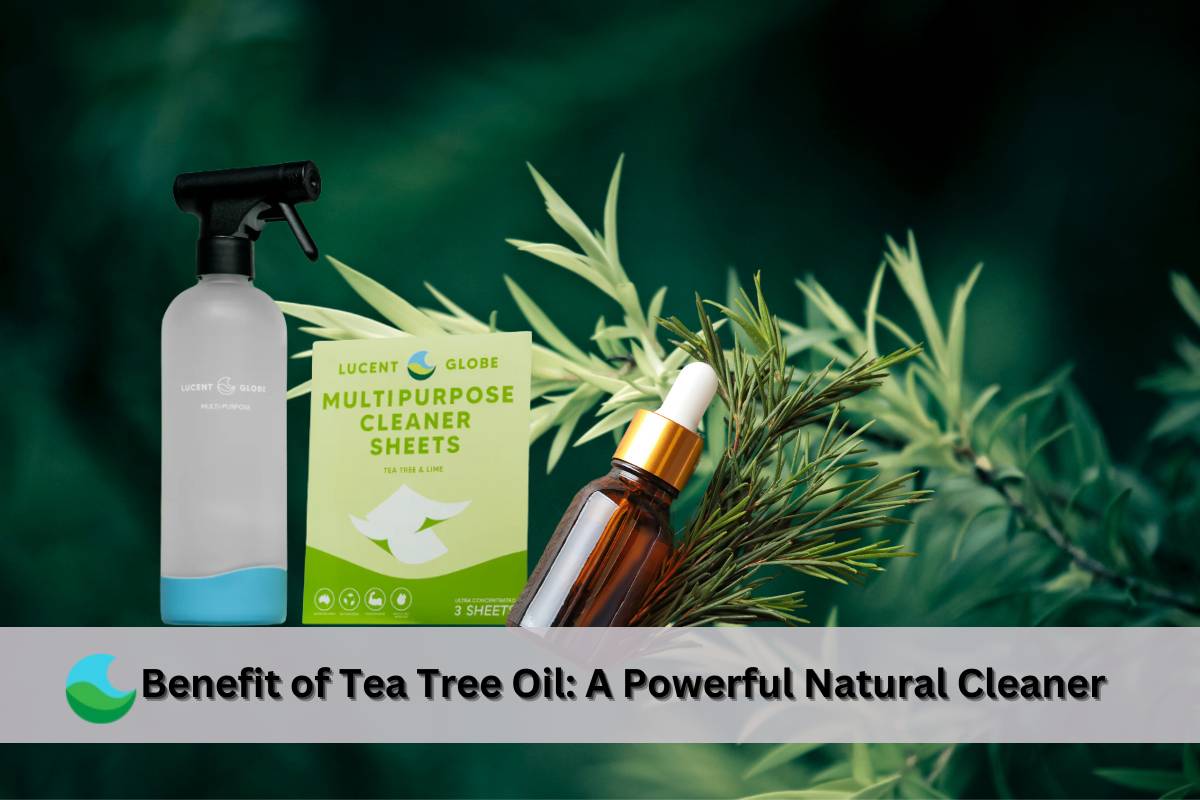 Versatile Uses for Tea Tree Oil: Cleaning without harsh chemicals ...